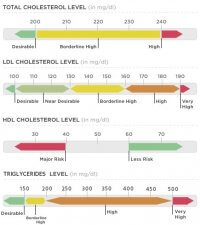Cholesterol ratio calculator - 2019 recommendations! LDL/HDL